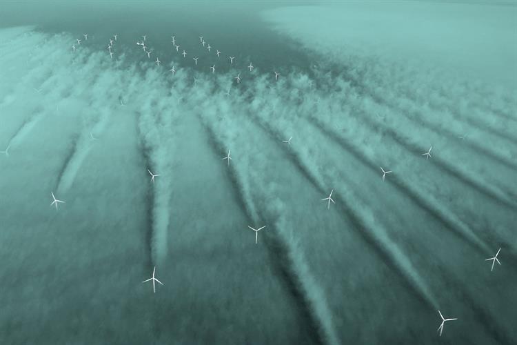 Analysis: Can the industry stop the wake effect killing offshore wind ...