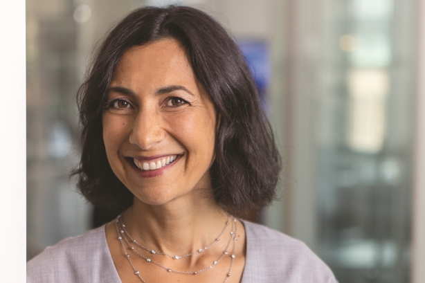 Havas New York hires MMC vet Diana Vienne