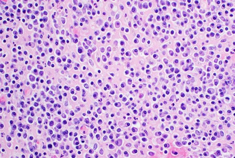 Medical education resources and CPD for GPs | GPonline