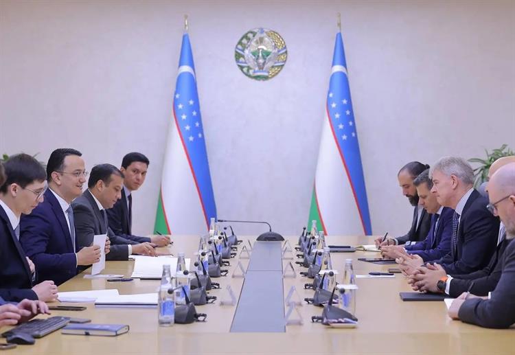 Plenary discusses PPPs with Uzbek government