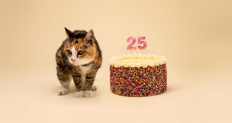 Whisker celebrates 25 years with 25-year-old cat | Campaign US