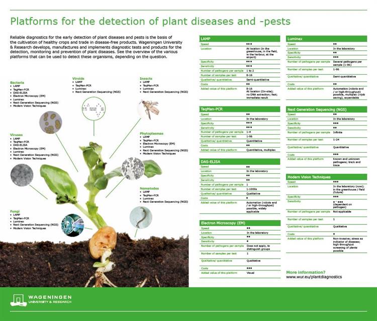 Roadmap for the detection of plant pests and diseases published | HortWeek