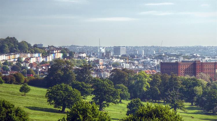 Bristol issues tree and woodland maintenance open framework | HortWeek