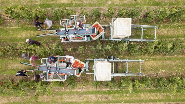 British apple and pear growers warn of rising cost pressures in 2026 ...