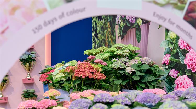 HortWeek | Latest horticulture industry news and jobs