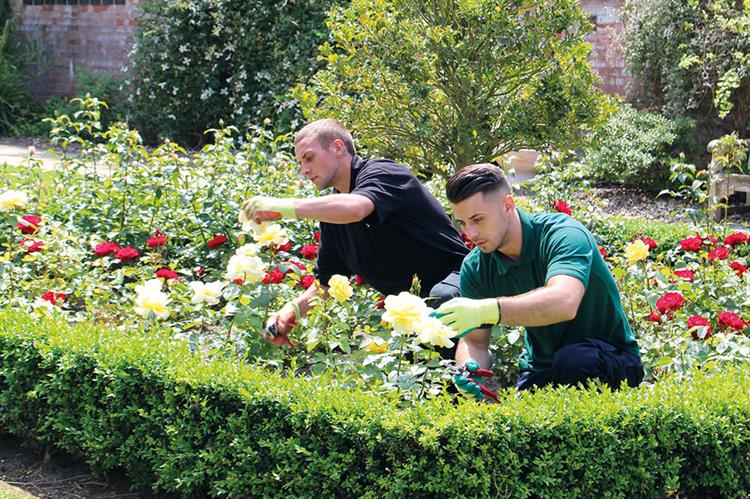 Careers & Training | Horticulture Week