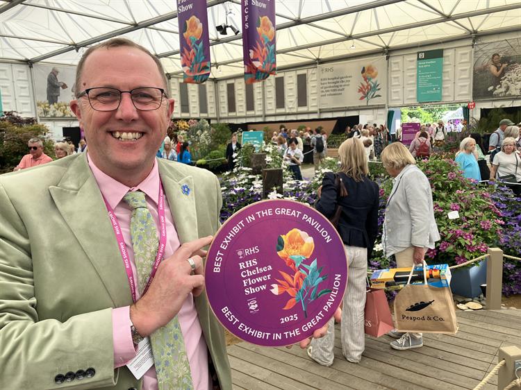 Evison wins best at Chelsea with 2,500 clematis | HortWeek