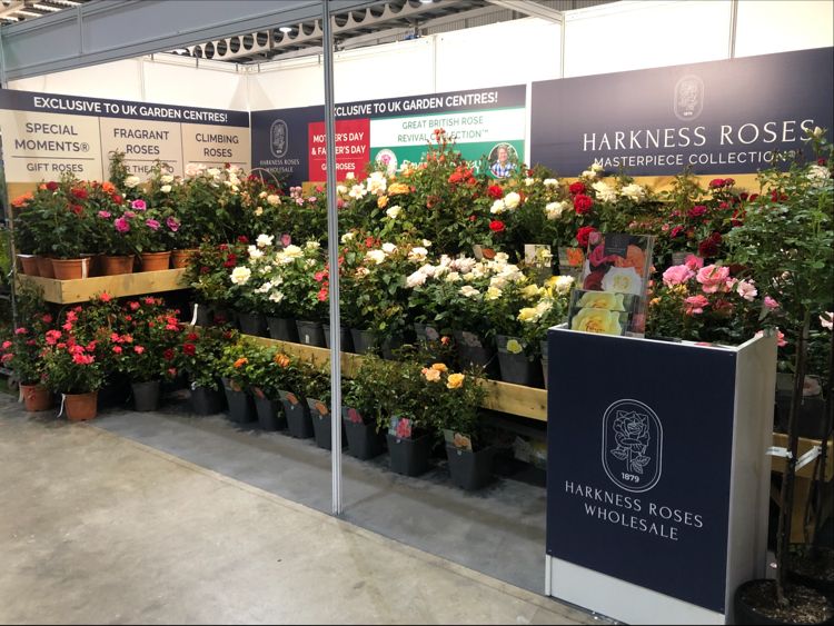 Harkness/Domoney Rose Awareness Week highlights the simplicity and ...