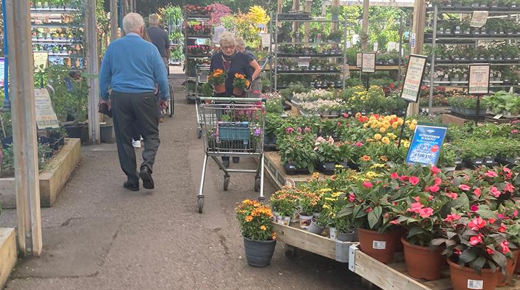 HortWeek | Latest horticulture industry news and jobs