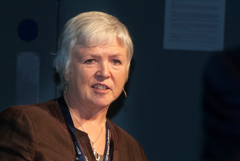 Exclusive: New models of care could fail to cut GP workload, warns RCGP ...