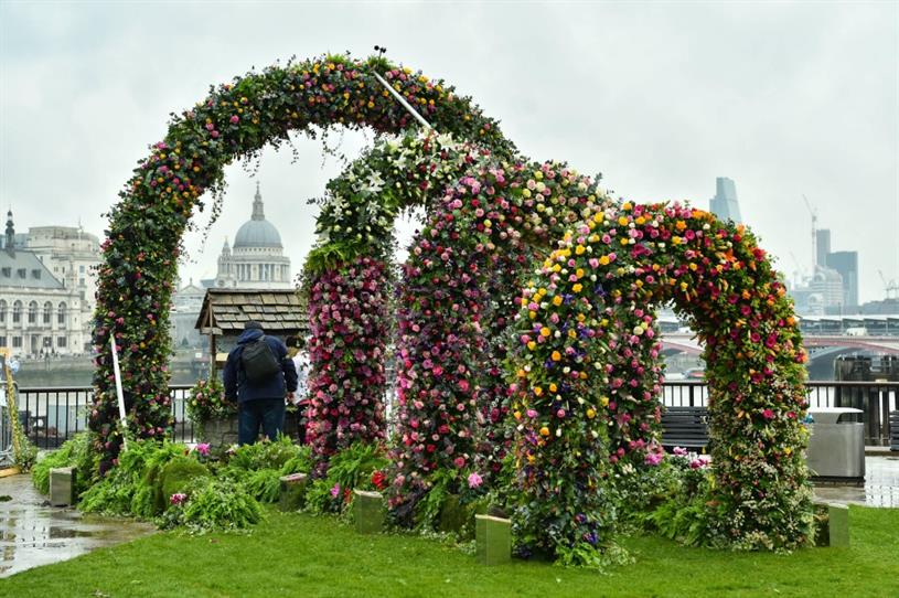 In Pictures Moonpig And Mind s Garden Installation