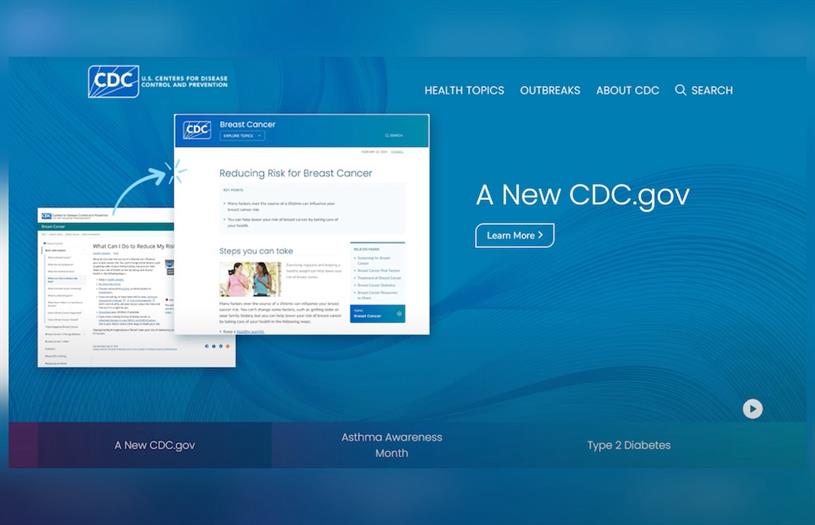 Diana Bradley - Journalist Profile - Intelligent Relations