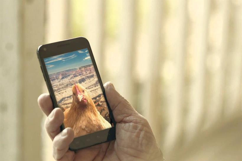 Geico 'Free Range' by The Martin Agency | Campaign US