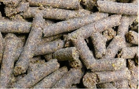 Straw pellets triple biogas yields | ENDS Waste & Bioenergy