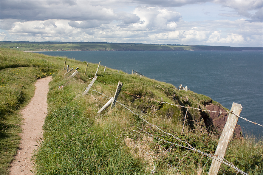 Ireland to launch second offshore wind tender with upgraded capacity ...