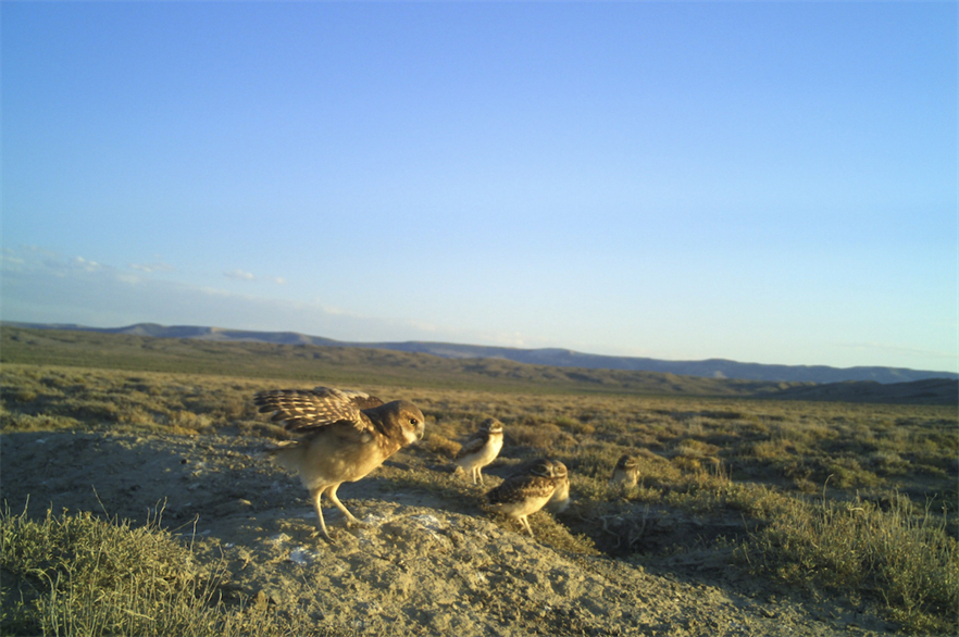 US approves $3 billion transmission line due to connect 3GW wind power ...