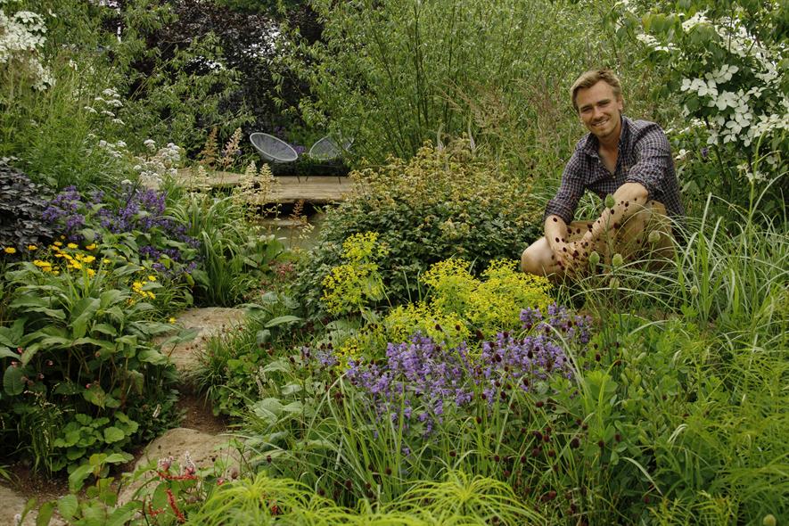 Butterworth stars at RHS Hampton Court as his nursery Form Plants takes ...
