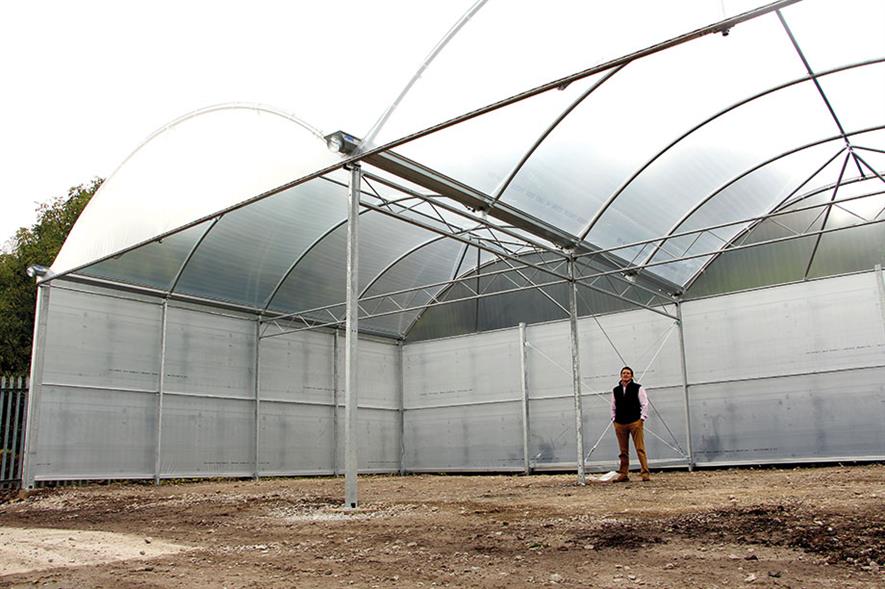 Polytunnels - Undercover option | Horticulture Week