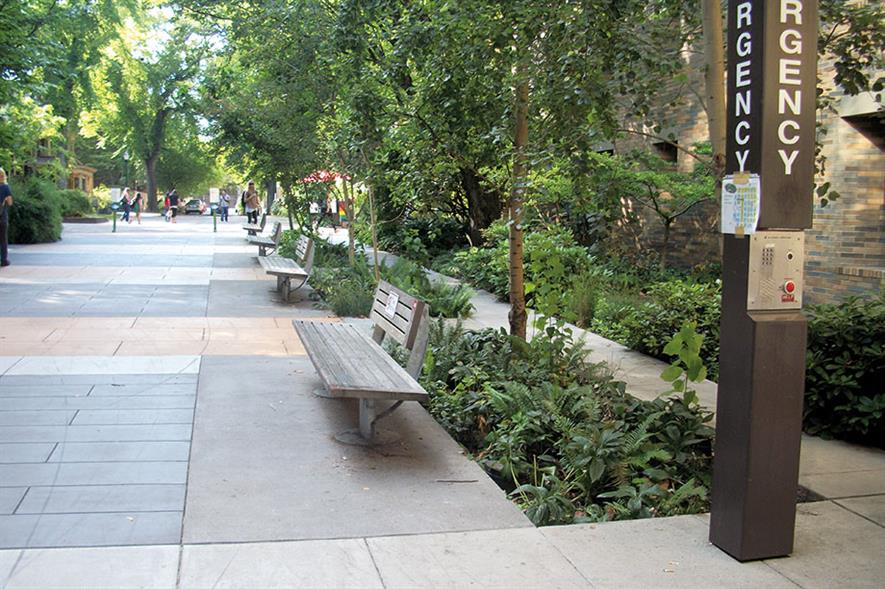 Hope for green infrastructure from devolution | HortWeek