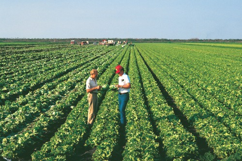 Bayer expands biological pest control range with takeover of Prophyta ...