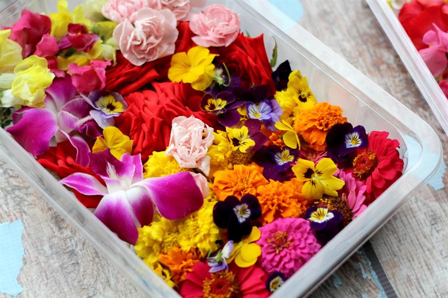 Popularity of edible flower packs starts to spread from the Netherlands ...