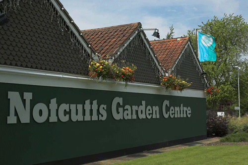 Notcutts garden centres become 55 per cent peat-free | Horticulture Week