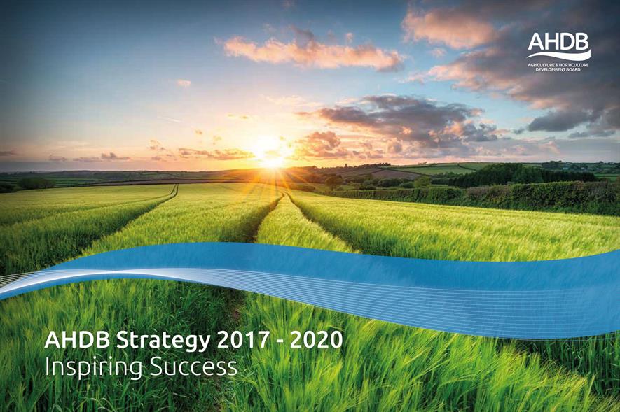 Interest and concerns in AHDB Horticulture strategy responses | HortWeek