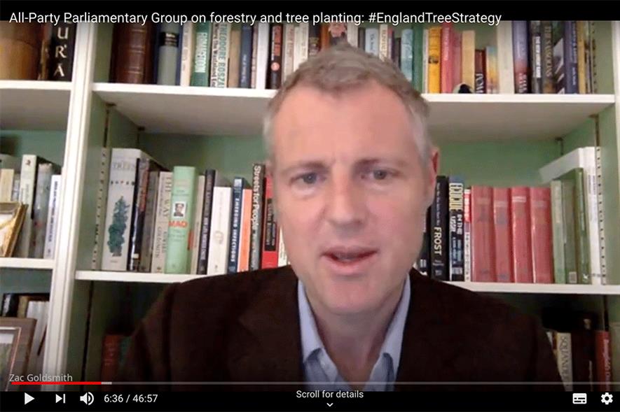 Lord Goldsmith calls for 'colossal endeavour' to hit tree planting ...