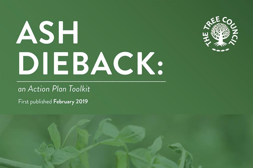 Is there a right strategy for dealing with ash dieback? | Horticulture Week