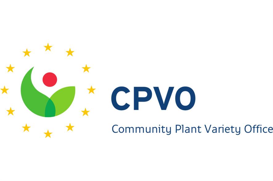 Study shows Plant Variety Rights have 'significant positive impact' on ...