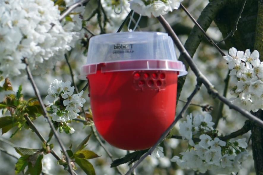 Targeted SWD traps unveiled at Fruit Focus | Horticulture Week