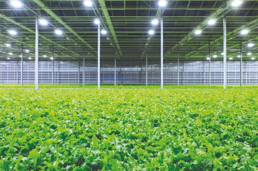 Corteva Agriscience to distribute Eden Research’s chemical-free seed ...