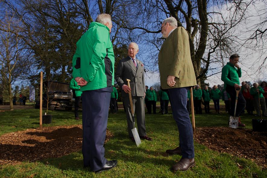 Queen's Canopy tree planted at Westonbirt Arboretum by Prince Charles ...