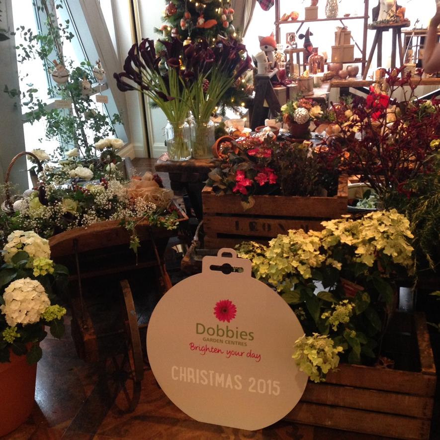 Dobbies garden centres launches its Christmas ranges | HortWeek