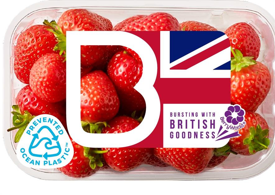 Berryworld to increase use of sustainable packaging in 2021 ...
