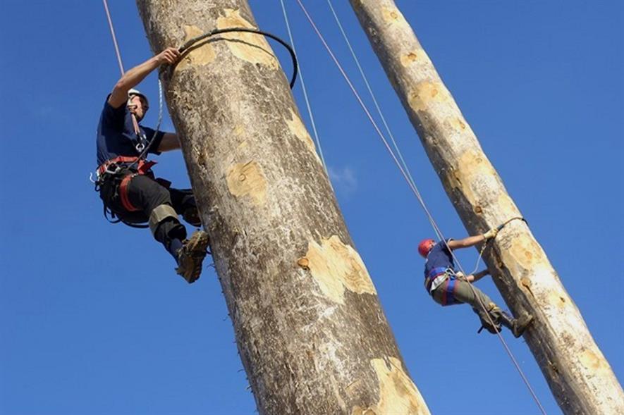 Top world pole climbers to battle it out at APF | Horticulture Week