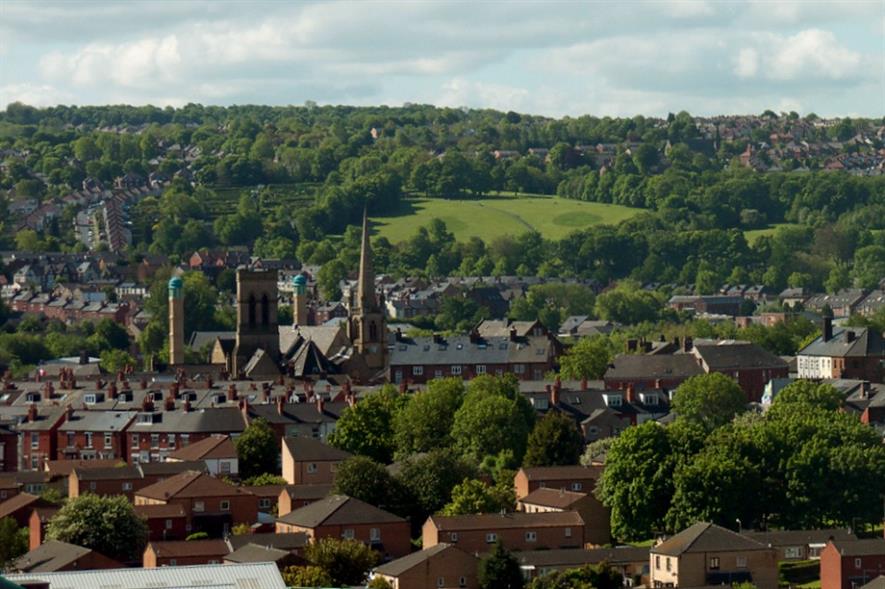 Large in-tray for newly appointed Sheffield tree panel | HortWeek