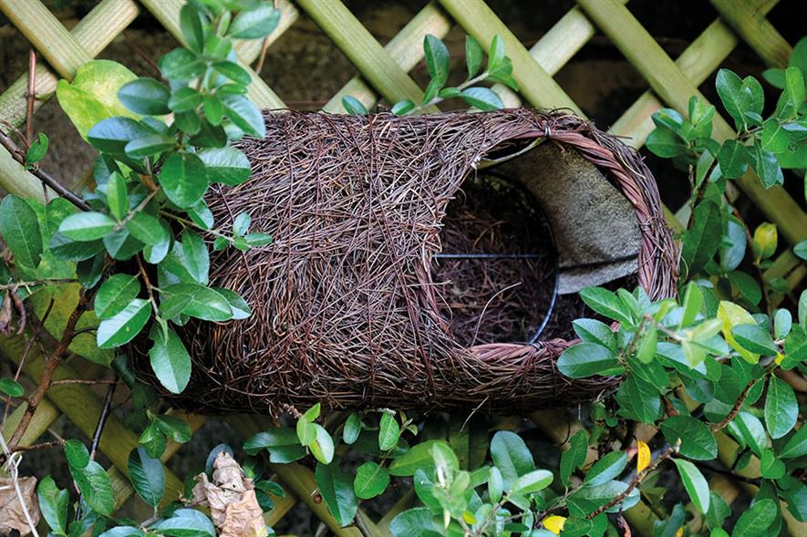 Best New Retail Product Wildlife - Winner: Simon King, Brushwood Robin ...