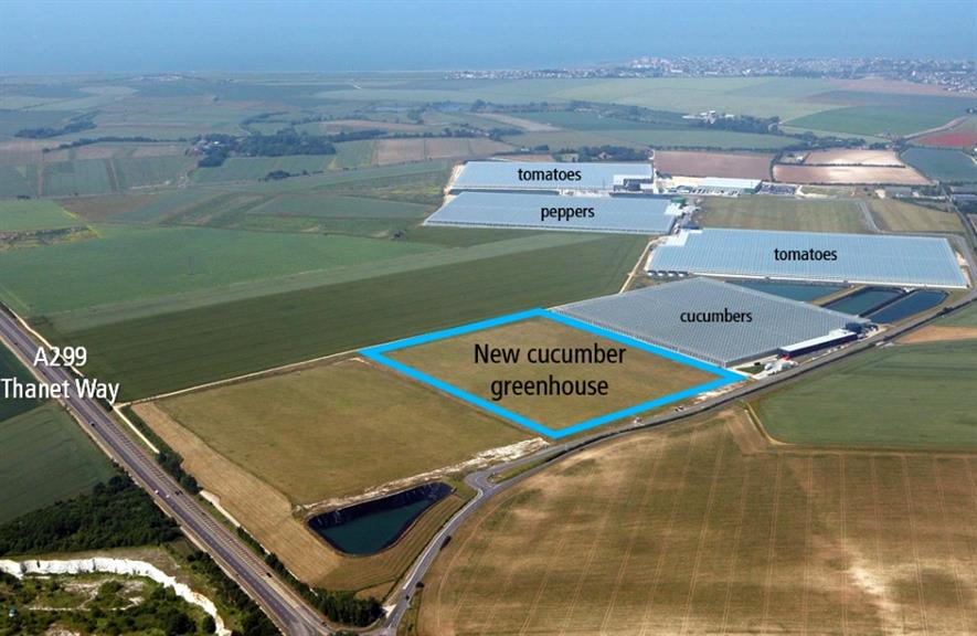New Thanet Earth glasshouse "to reverse UK cucumber decline" | HortWeek
