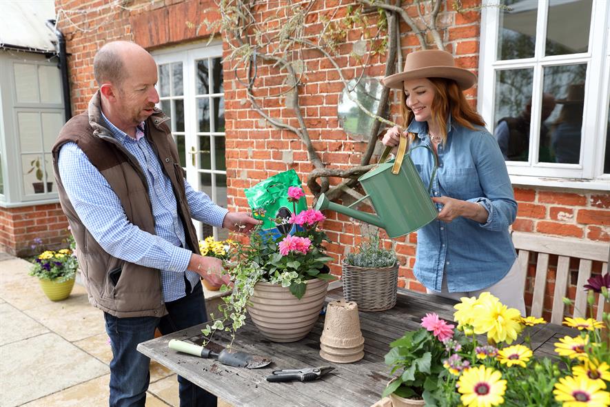 Bridge Farm launches consumer holiday plants | HortWeek