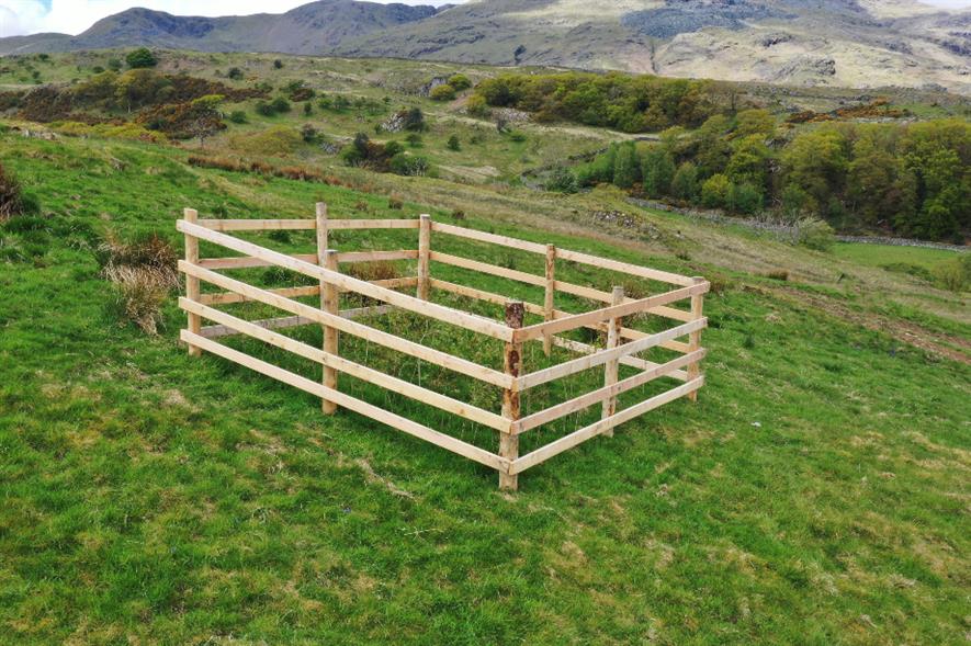 National Trust explores alternatives to plastic tree guards | HortWeek