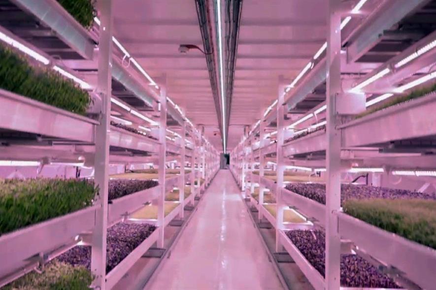 Underground greens grower secures online retail deal | Horticulture Week