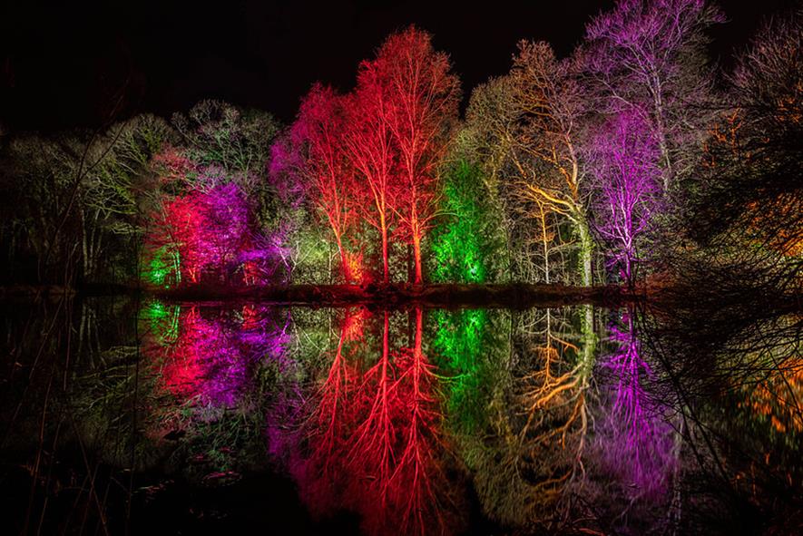 Glow Illuminations return to RHS Garden Rosemoor | Horticulture Week