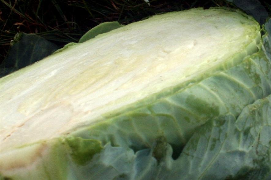 Asda to drop green cabbage in favour of alternative ranges ...