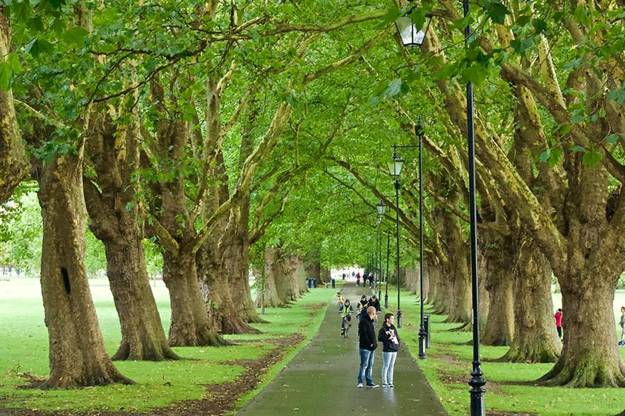 Are canopy cover targets the best way to maximise the benefits of trees ...