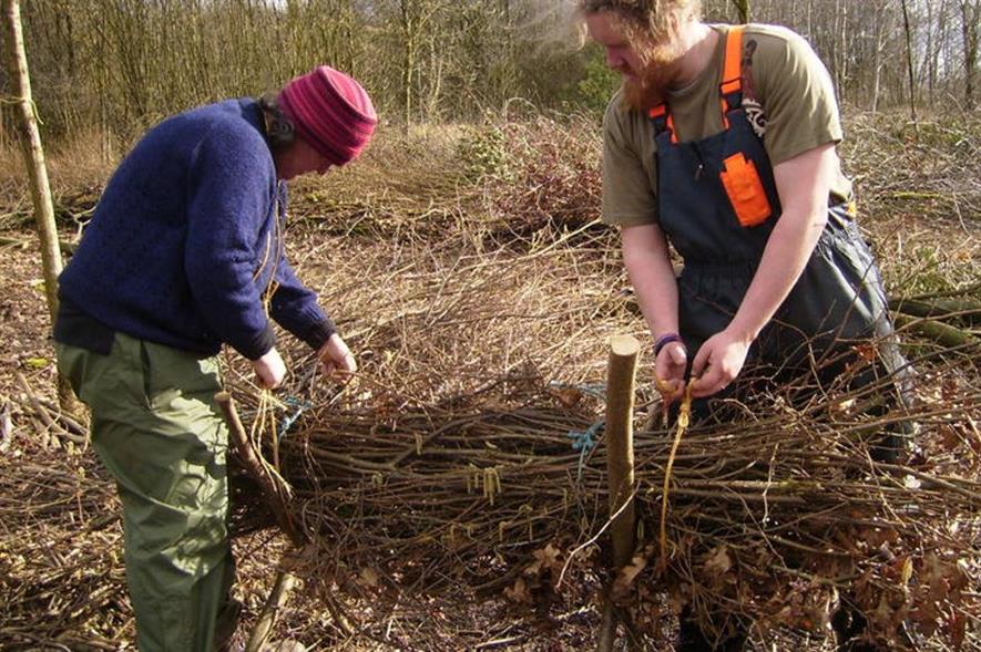Grant enables urban coppicing for skills and social inclusion ...