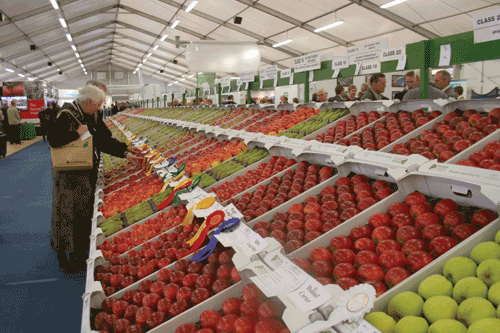 National Fruit Show Preview - Fruit showcase | Horticulture Week