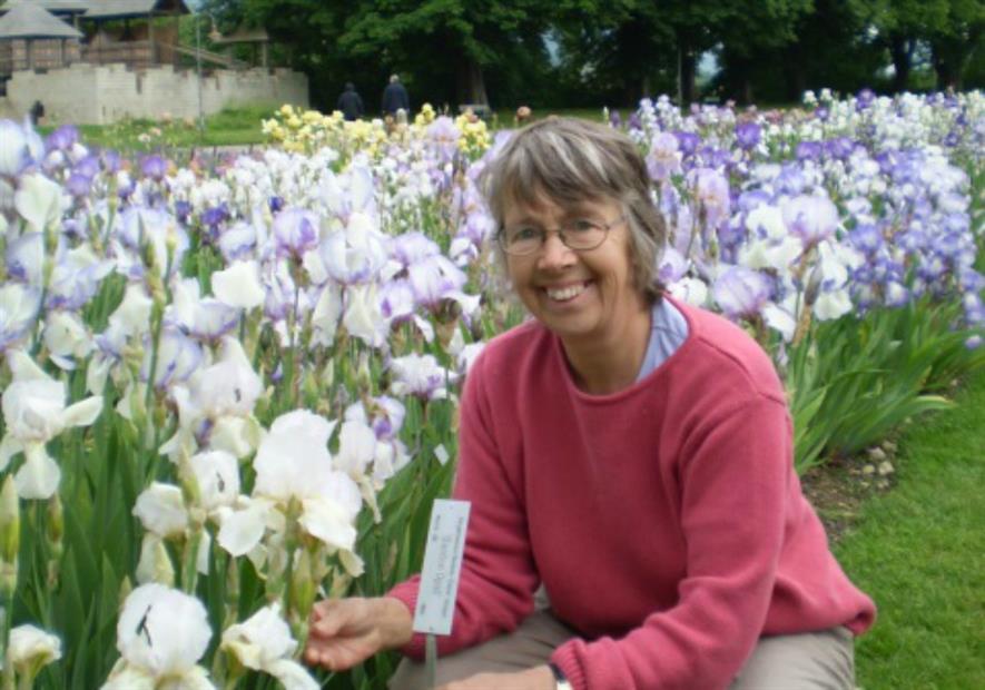 Howard Nurseries helps bring iris display to Chelsea | Horticulture Week
