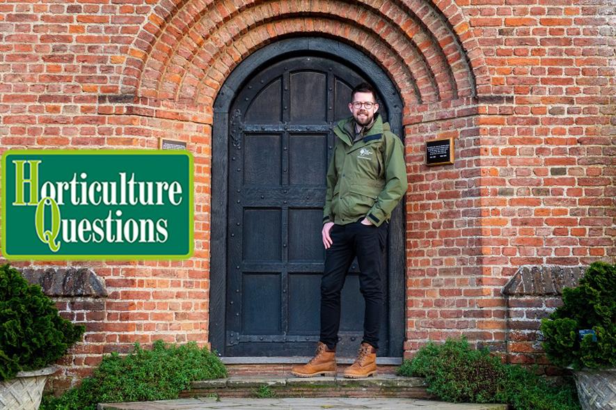Six questions with Matthew Pottage curator of RHS Wisley | HortWeek
