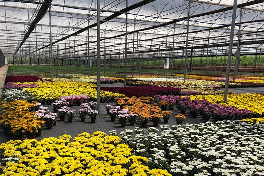 Financial support necessary for ornamental horticulture producers ...